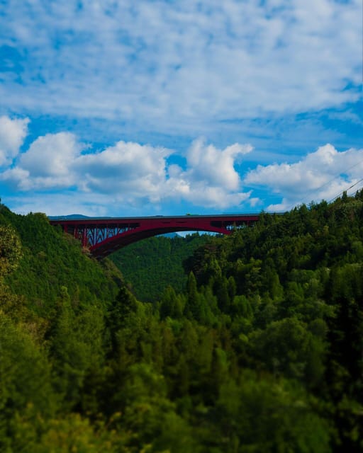 [FROM NAGOYA] Private Tour of the Kiso Valley and Magome - Lunch and Activities