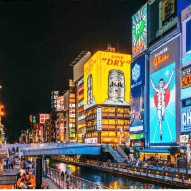 From Osaka: Private Customisable Osaka Full Day Tour By Car - Booking and Reservations