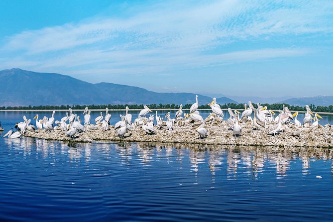 From Thessaloniki: Private Day Trip to Kerkini Lake - Frequently Asked Questions