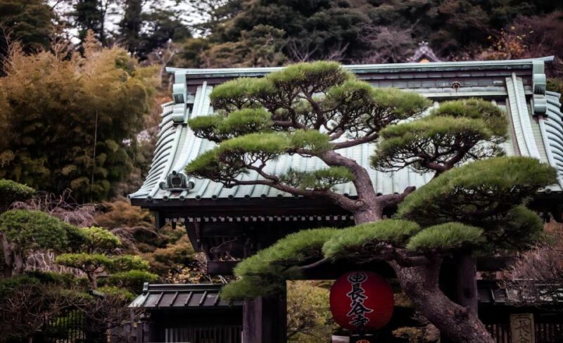 From Tokyo: 10-hour Private Custom Tour to Kamakura - Booking and Cancellation Policy