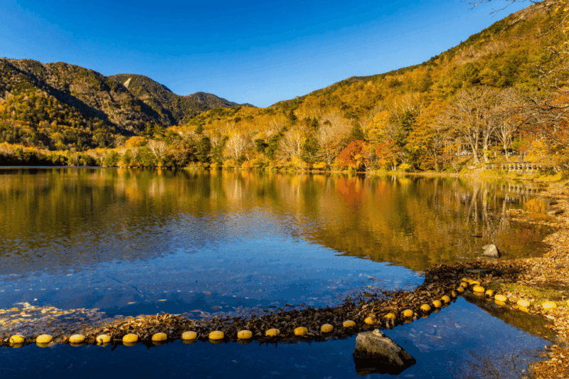 From Tokyo: Full-Day Private Nikko Highlights Tour - Important Information