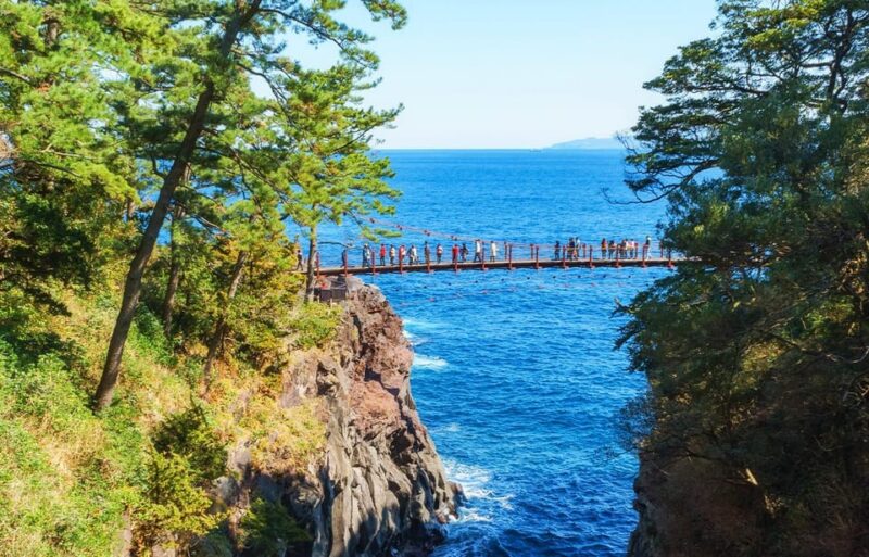 From Tokyo: Kawazu Sakura, Strawberry & Hot Spring Day Tour - Visitor Experiences and Feedback