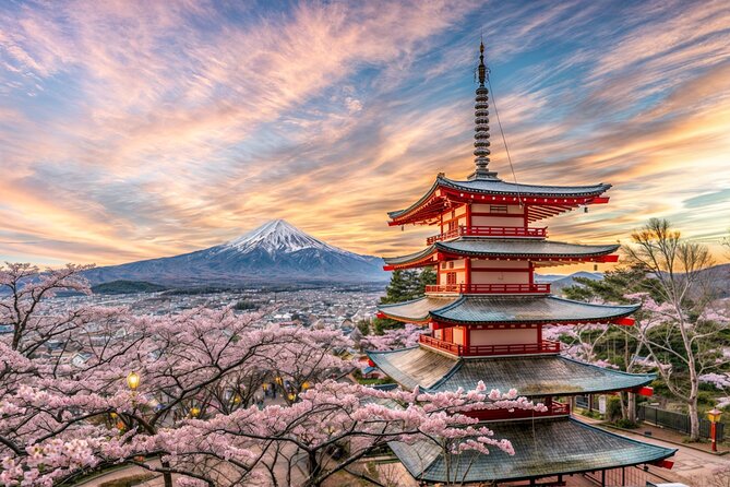 From Tokyo: Mt Fuji and Hakone Private Day Trip - Feedback and Reviews