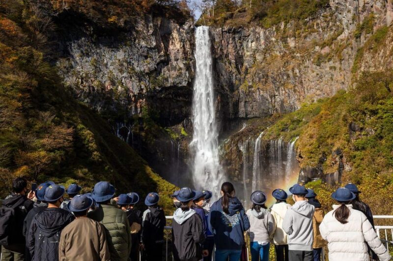 From Tokyo: Nikko Private Day Trip With English Guide - Historical Nikko Toshogu Shrine