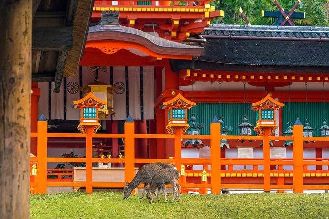 From Tokyo to Kyoto and Nara: A Captivating Full-Day Private Tour - Traveler Testimonials and Reviews