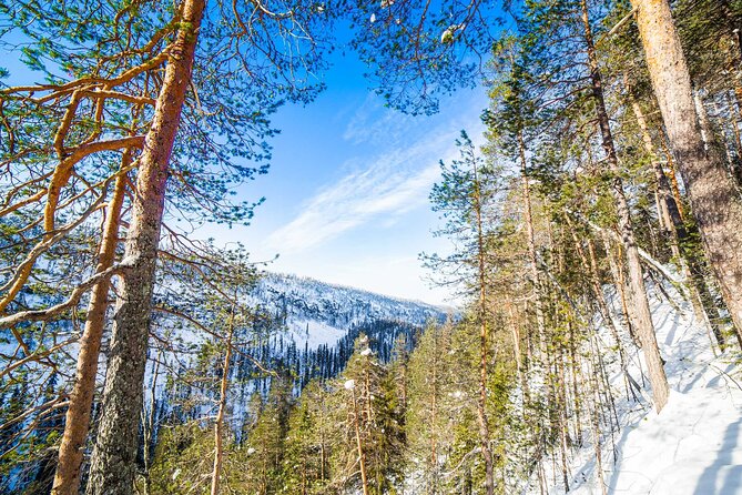 Frozen Waterfalls in Korouoma Canyon Adventure - Preparing for Your Frozen Waterfall Adventure