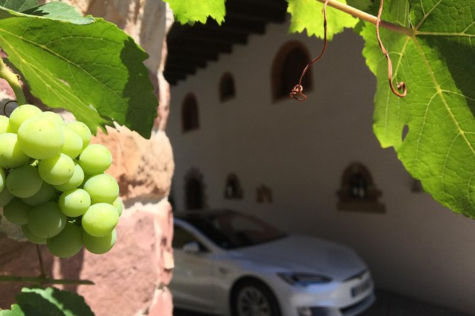 FULL DAY ALSACE PRIVATE TOUR : Tailored by Your Friendly Driver - Flexible Booking and Cancellation Options