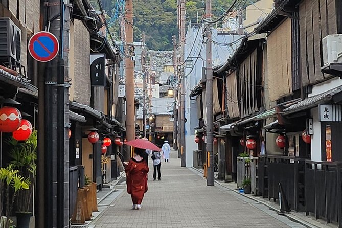 Full Day Guided Tour to Kyoto and Nara From Osaka by Van - Tour Guides and Customer Service
