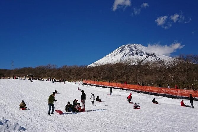 Full Day Guided Trip to Mt. Fuji and Hakone From Tokyo - Common Questions