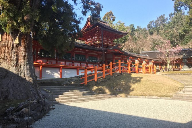 Full-Day Private Guided Tour to Nara Temples - Common Questions