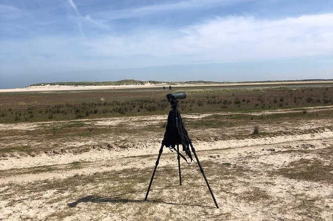 Full Day Tour to Texel - Friesian Islands - From Amsterdam - Experiencing Local Seafood and Culture