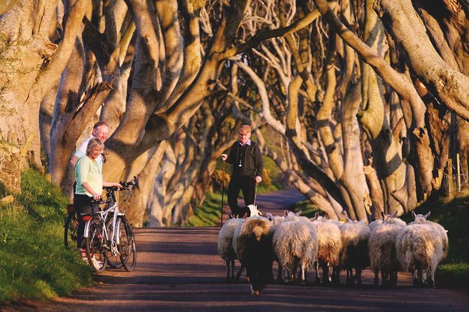 Giants Causeway Day Tour From Dublin Review - Booking Details and Flexibility