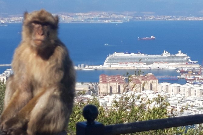 Gibraltar Sightseeing :SKYWALK AND SUSPENSION BRIDGE TOUR (Private) - Frequently Asked Questions