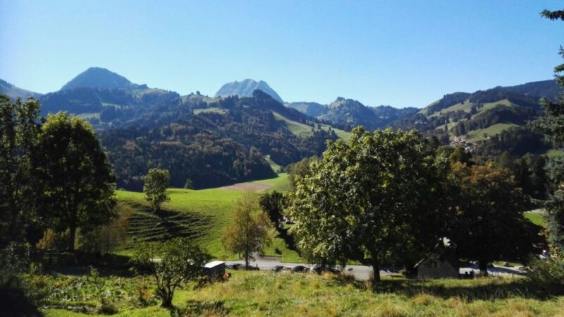 Gruyères, Cheese and Chocolate: Private Guided Tour - Since You Asked