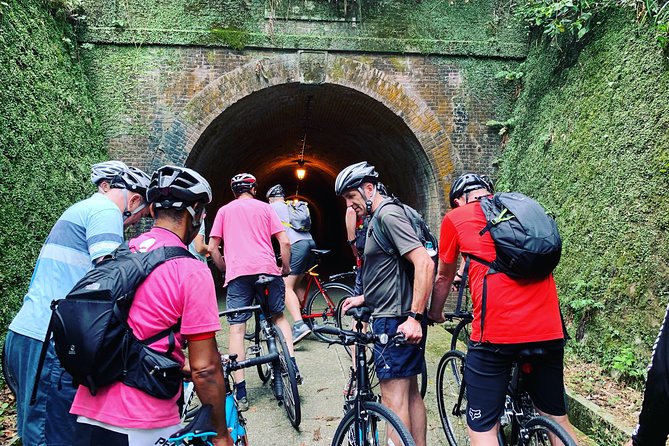 Guided Hybrid Bike Tour in Shizuoka City (Note: Not E-Bikes) - Experience the Best of Shizuoka