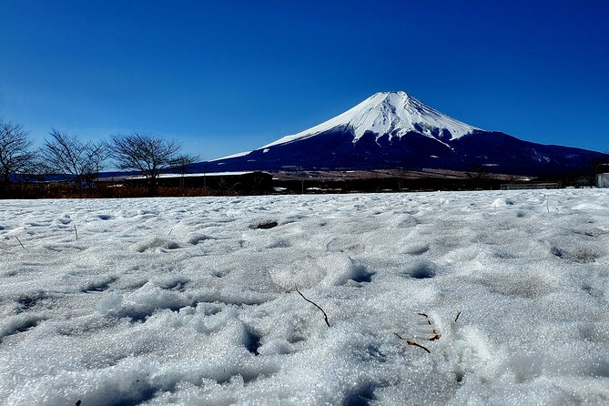 Guided Private Mt. Fuji and Hakone Tour GREEN NUMBER PLATES - Must-See Attractions and Activities