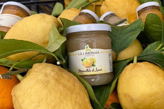 Guided Tour of a Historic Lemon Grove in Sorrento - Planning Your Visit to the Lemon Grove