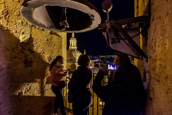 Guided Tour to Tower / Guided Tour of the Tower - Tour Duration and Schedule