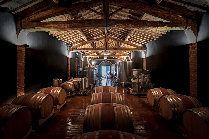 Guided Winery Tour and Wine Tasting in Siena - Highlights From Traveler Reviews