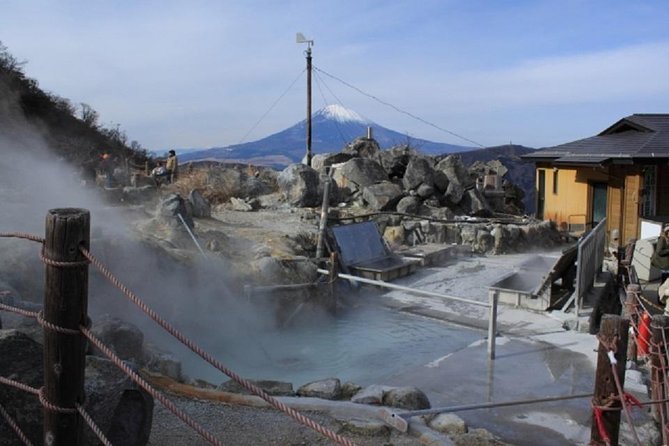 Hakone Full-Day Private Tour By Public Transportation - Feedback From Satisfied Customers