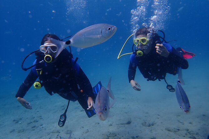 Half Day Boat Diving Experience for Beginners in Kos Greece - How to Prepare for Your Diving Adventure