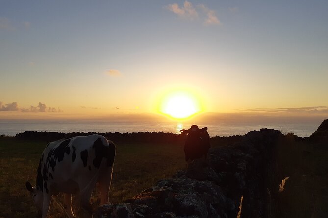 Half-Day Farm Visit and Cow Milking Experience - Booking and Cancellation Policy