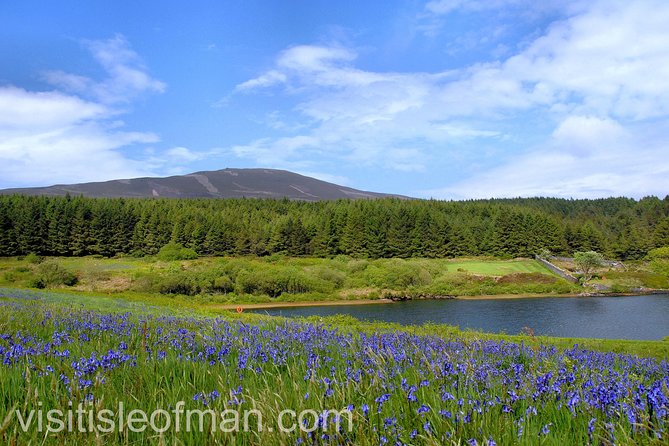 Half Day Private Tours of the Isle of Man With a Qualified Driver Guide - Preparing for Your Tour: Tips and Recommendations