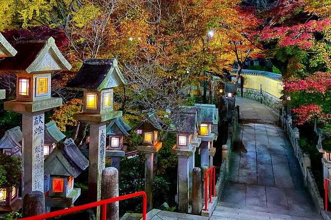 Hidden Gems of Osaka Kyoto Nara - Private Car Tour by Local Guide - Cancellation and Booking Policies