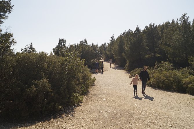 Hiking in the Calanques National Park From Luminy - Tips for an Enjoyable Adventure