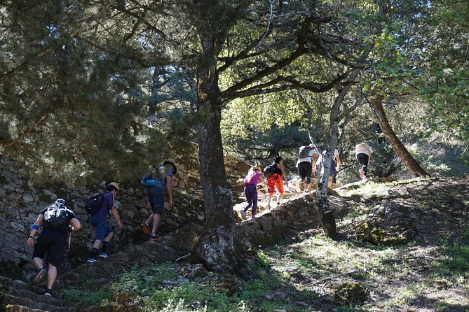 Hiking Profitis Ilias Mountain - Pick up Service Available - Frequently Asked Questions