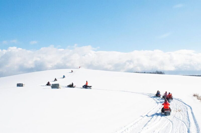 Hokkaido 1-Day Trip: Asahiyama Zoo, Biei and Ningle Terrace - Inclusions and Exclusions