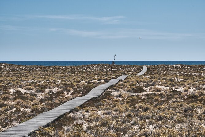 Hop On Hop Off 3 Islands: Deserta, Farol and Culatra - Customer Feedback and Reviews