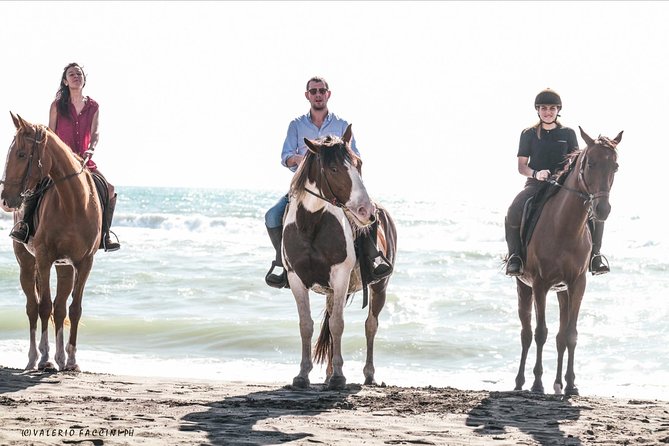 Horse Day in Ancient Rome - Planning Your Horse Day Adventure