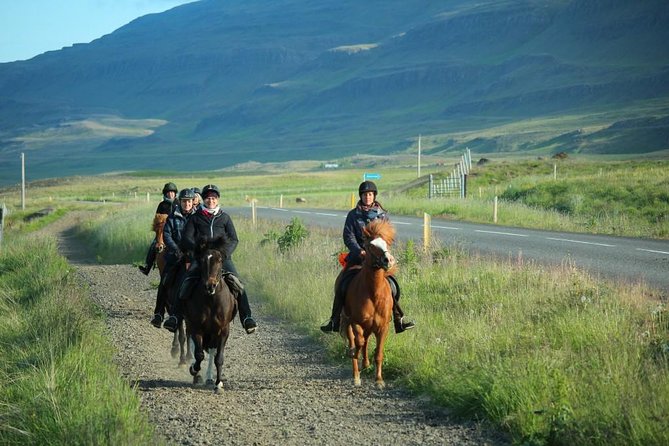 Horse Riding Tour to the Glacier River Delta With Waterfall - Booking and Cancellation Details