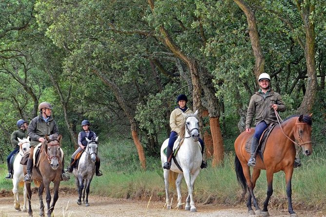 Horseback Riding, 4 Options-Mountain, Lesson Ring, Beach (2Hours) - Booking Information