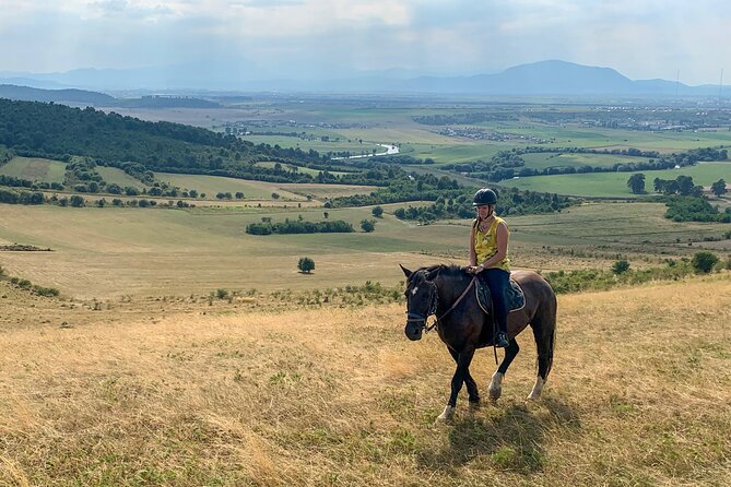 Horseback Riding Tour In Brasov - Ride Through Fields, Forests & Hills - Booking and Cancellation Policies: Need-to-Know