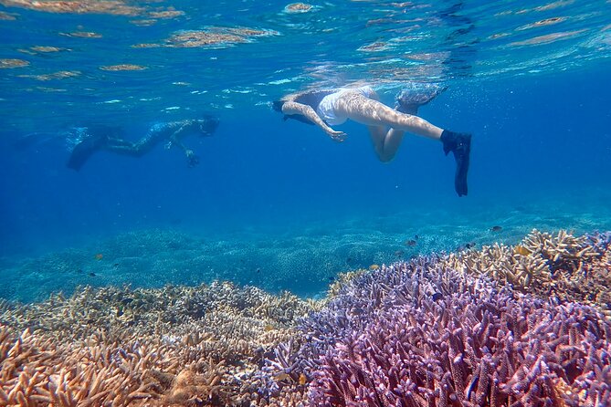 Ishigaki Phantom Island Snorkeling Taketomi Island Sightseeing - Customer Reviews
