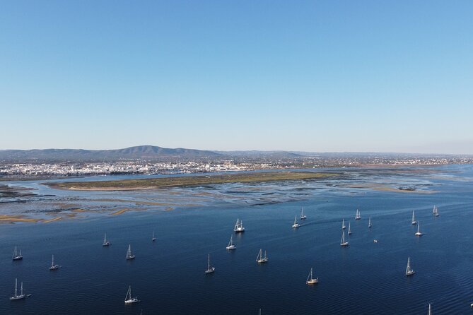Islands Tour: Half Day Cruise in Ria Formosa National Park - Boat Comfort and Communication