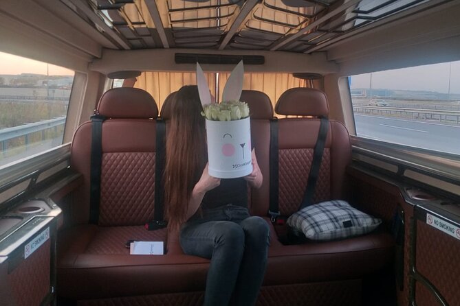 Istanbul Airport Transfer Private Minvan - Host Responsiveness and Customer Service