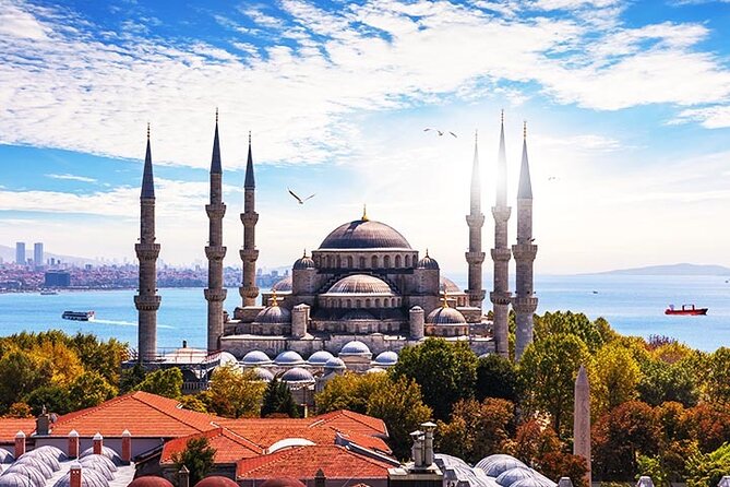 Istanbul Highlights: Half Day Morning Tour - Customer Feedback and Insights