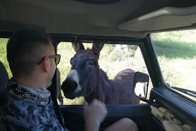 Jeep Safari to Akamas National Park: Avakas Gorge Tour From Paphos - Praise for the Tour Guide