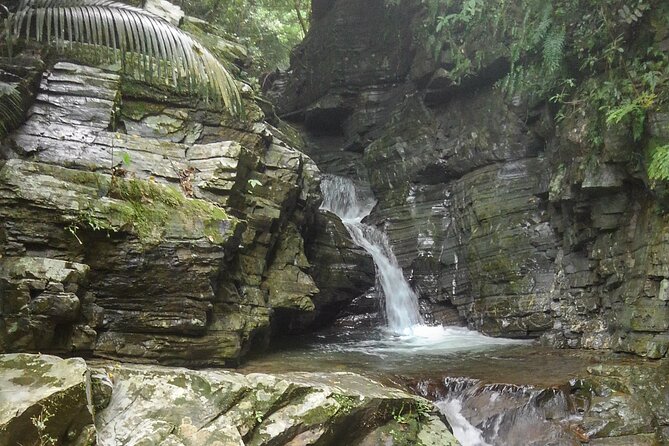 Jungle River Trek: Private Tour in Yanbaru, North Okinawa - The Jungle River Trek Experience
