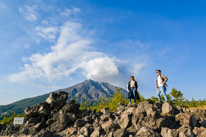 Kagoshima Custom Tour With Private Car and Driver - Customer Testimonials