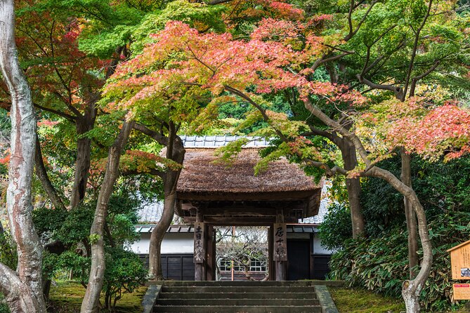 Kamakura Historical and Cultural Day Trip With Local Cuisine - Flexible Booking and Cancellation Policies