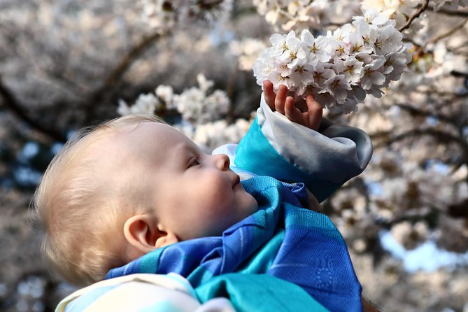 Kanazawa Private 1 Day/Photoshoot by Professional Photographer - Planning Your Kanazawa Photoshoot