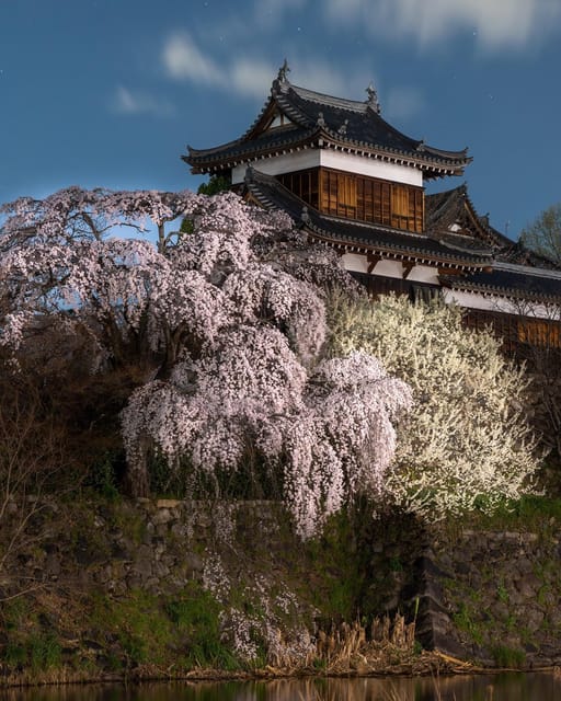 Kansai 10-Hour Chartered Day Trip｜Nara City - Contact Information and Communication