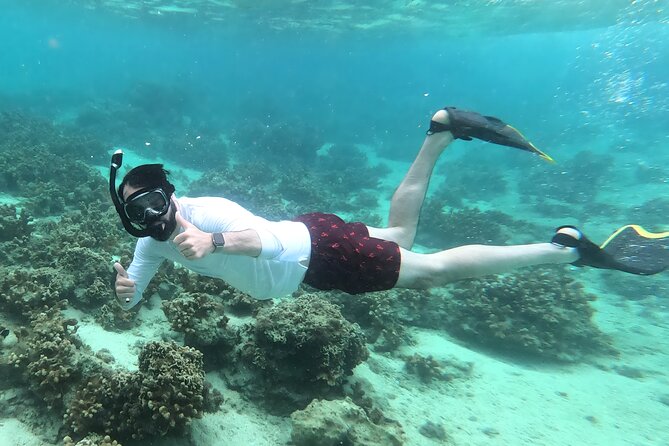 Kayak & Snorkel: Private Tour in Yanbaru, North Okinawa - Why Choose This Private Kayak and Snorkeling Tour