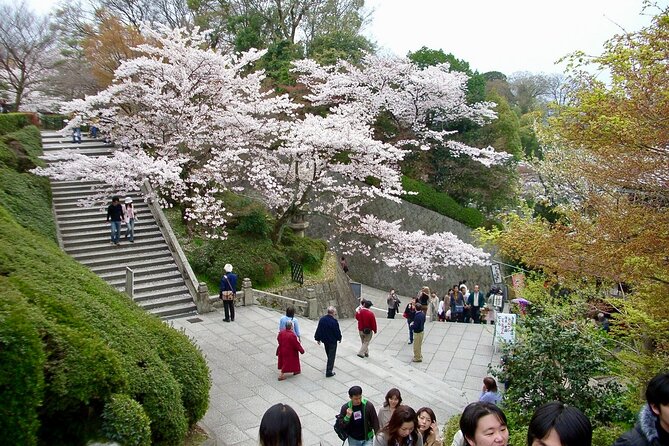 Kiyomizudera, Higashiyama and Yasaka Shrine Guided Walking Tour - Common Questions