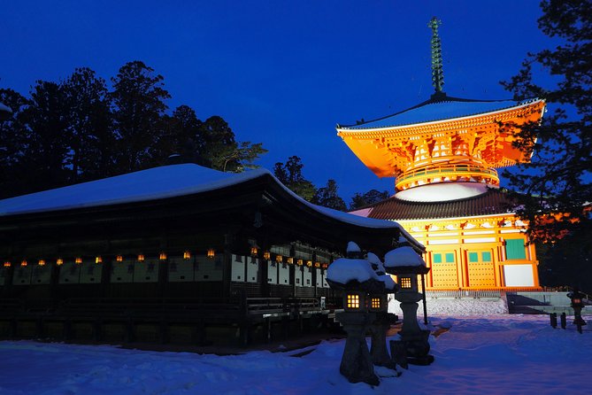Koyasan Full-Day Private Tour - Meeting and Accessibility