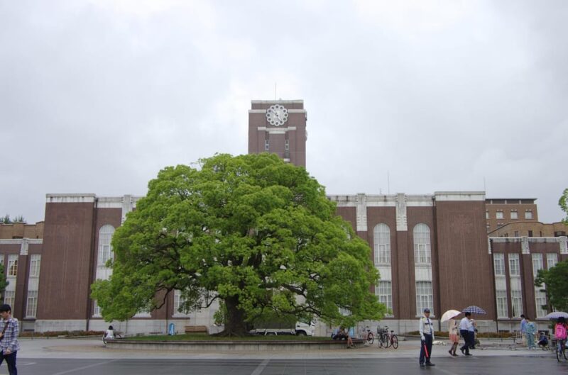 Kyoto: Authentic Biking Half Day Experience - Experiencing Kyotos Beauty in All Seasons